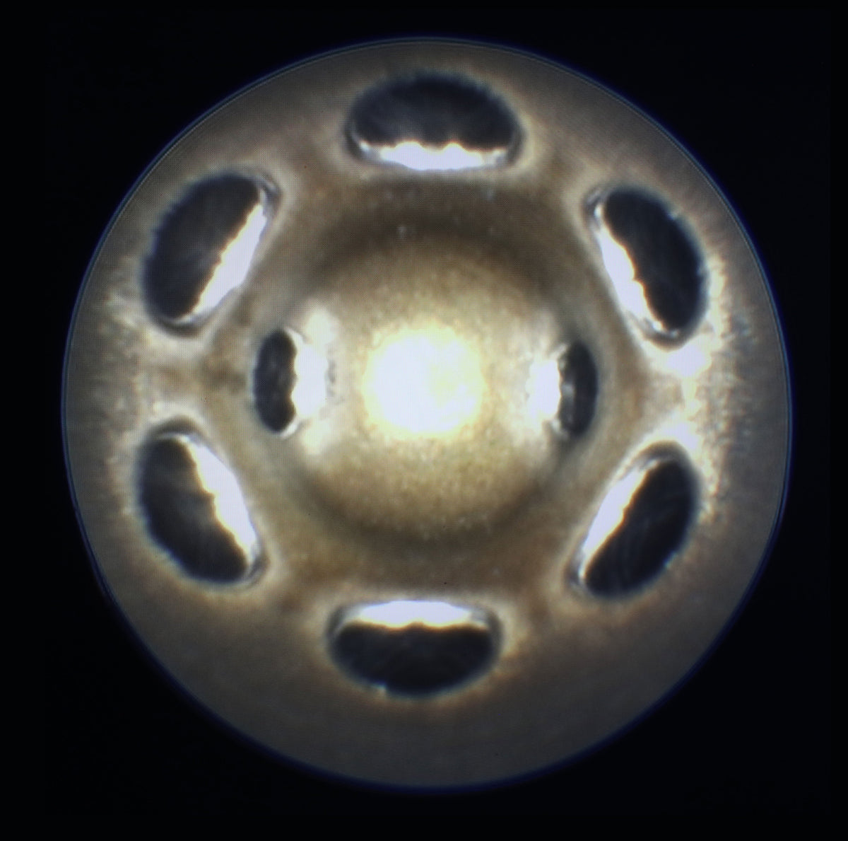 Dodge Cummins 98.5-02 24v Injector Set 100hp Dynomite Diesel – FullHook ...